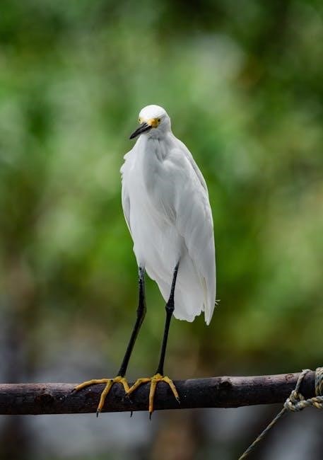 NZXT H6 Flow Manual: Your Guide to a Stunning Build!